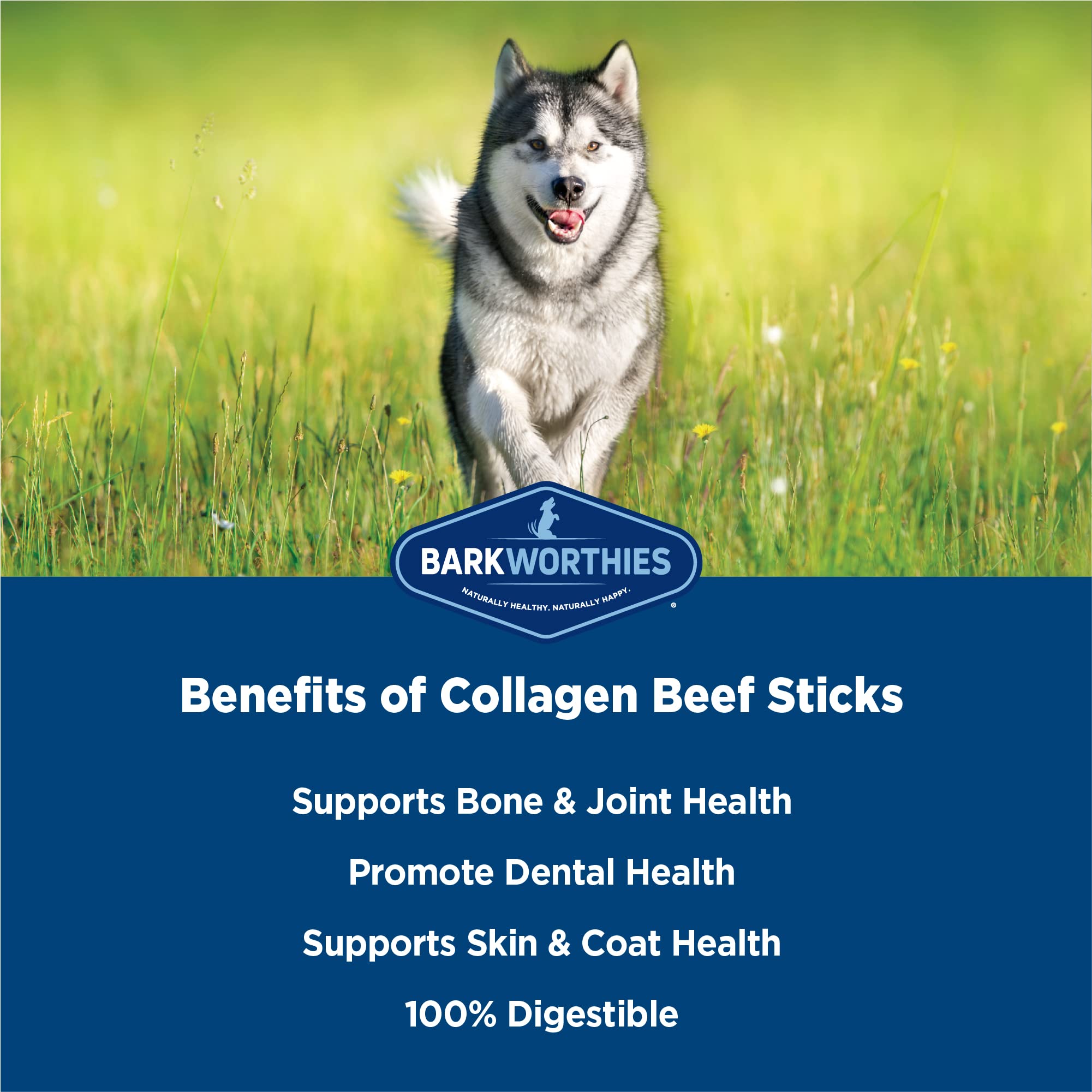 Barkworthies Peanut Butter Collagen Sticks Dog Treats (12-Inch, 6-Pack)