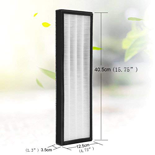 BBT BAMBOOST Filter B Replacement Fit for Germguardian Air Purifier FLT4825 Filter-b Models AC4825 AC4300 AC4800 AC4900,AP2200CA,BXAP148(2pcs HEPA True Filters and 4 Pieces Carbon Filters)