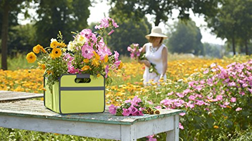 meori Hibiscus Red/Dots Foldable Box Large wipeable Solid Space-Saving Outdoor Lake Beach Weekend Shopping Transport Storage, 1-Pack
