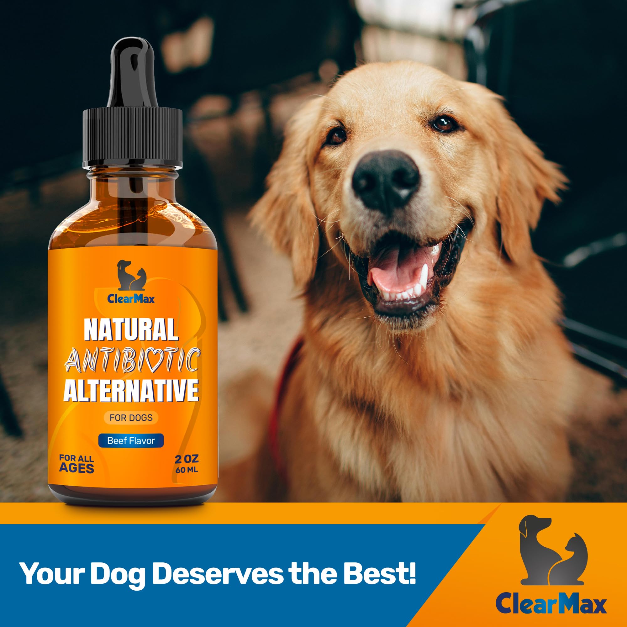 Antibiotic for Dogs ◆ Dog Antibiotic ◆ Natural Antibiotics for Dogs ◆ Pet Antibiotic ◆ Dog Antibiotics with Beef Flavor ◆ 2 Oz