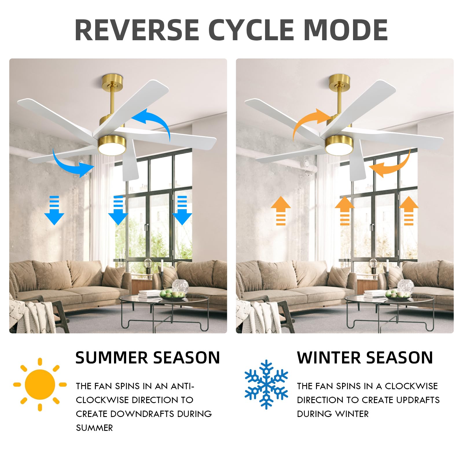 ACOZ 64" ABS DC Ceiling Fan with Lights, 5 Blade ABS Plastic Ceiling Fan with Remote, 6-Speed Reversible DC Motor, LED Ceiling Fan for Kitchen Bedroom Living Room, Brass and White