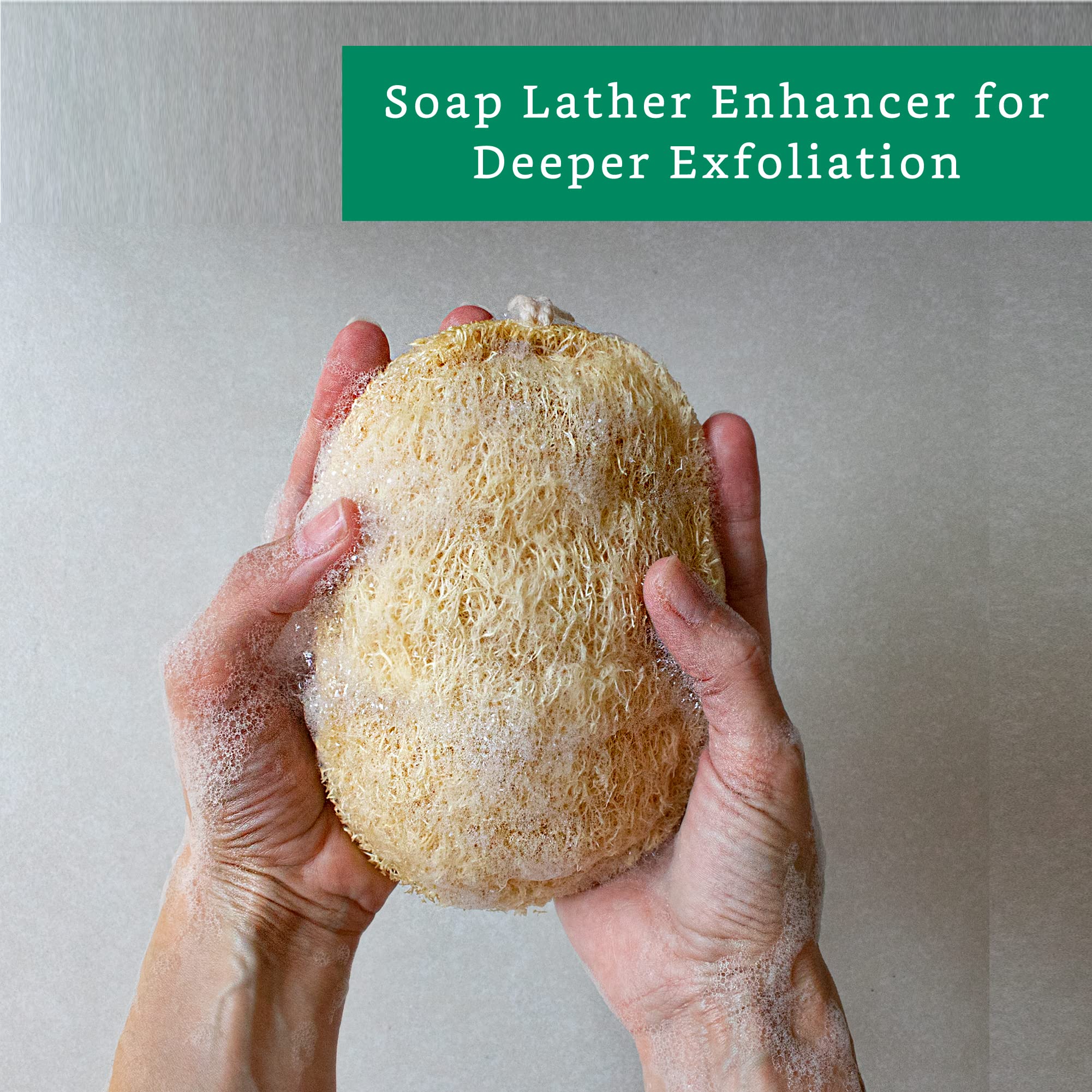 Natural Loofah Exfoliating Sponge (4 Pack) - Loofa Exfoliating Body Scrubber - Biodegradable Organic Loofah Sponge - Shower Luffa Sponges - Shower Lufa - Estropajos para el Cuerpo