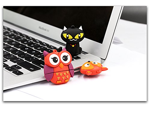 QICAIHU Novelty Big Eyes Owl Shape Design 64GB USB 3.0 Animal Flash Drive Cute Memory Stick Thumb Drive Data Storage Pendrive Cartoon Jump Drive Gift