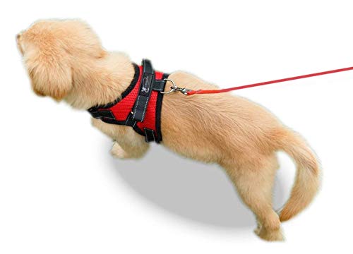 Copatchy No Pull Reflective Dog Harness (Small, red)
