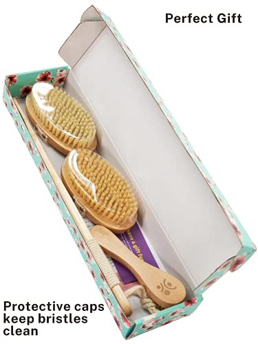 Vegan Dry Brush for Cellulite and Lymphatic Drainage Massage, Natural Firm and Soft Brushes, Cactus Bristles, Dry Skin for Face and Body Set for Brushing, Scrub with Handle
