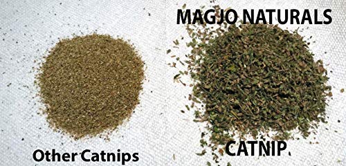 MagJo Naturals Farm Direct Catnip, Freshest Available, Bulk Bag (1 Pound)
