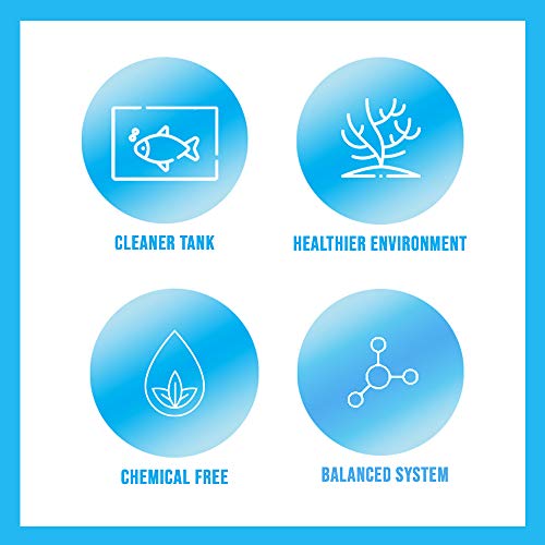 ECOLOGICAL LABS MicrobeLift Special Blend (4 oz)