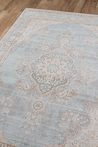 Momeni Rugs Isabella Traditional Medallion Flat Weave Area Rug, 7'10" X 10'6", Blue