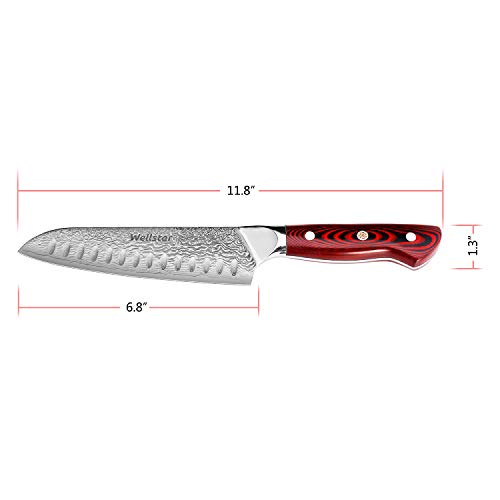 WELLSTAR Santoku Knife, Damascus Steel Kitchen Knife 7 Inch, Japanese AUS10 High Carbon Steel 67-Layer Blade Full Tang with Ergonomic G10 Handle, Razor Sharp Chefs' Knife - Gift Box