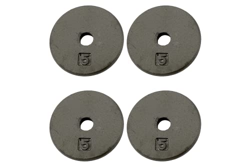 Ader Hollow E-Z Curl 1" Bar w/ 4 pcs of 2.5lb + 5lb Gray 1" Regular Plates