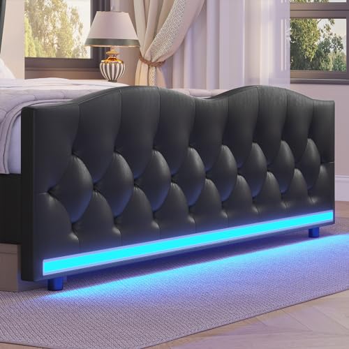 ADORNEVE LED Bed Frame Queen Size with Tall Headboard Footboard, Charging Station, PU Leather Upholstered Platform Queen Bed with Wingback Storage Headboard, Innovative Stable Structure, Black