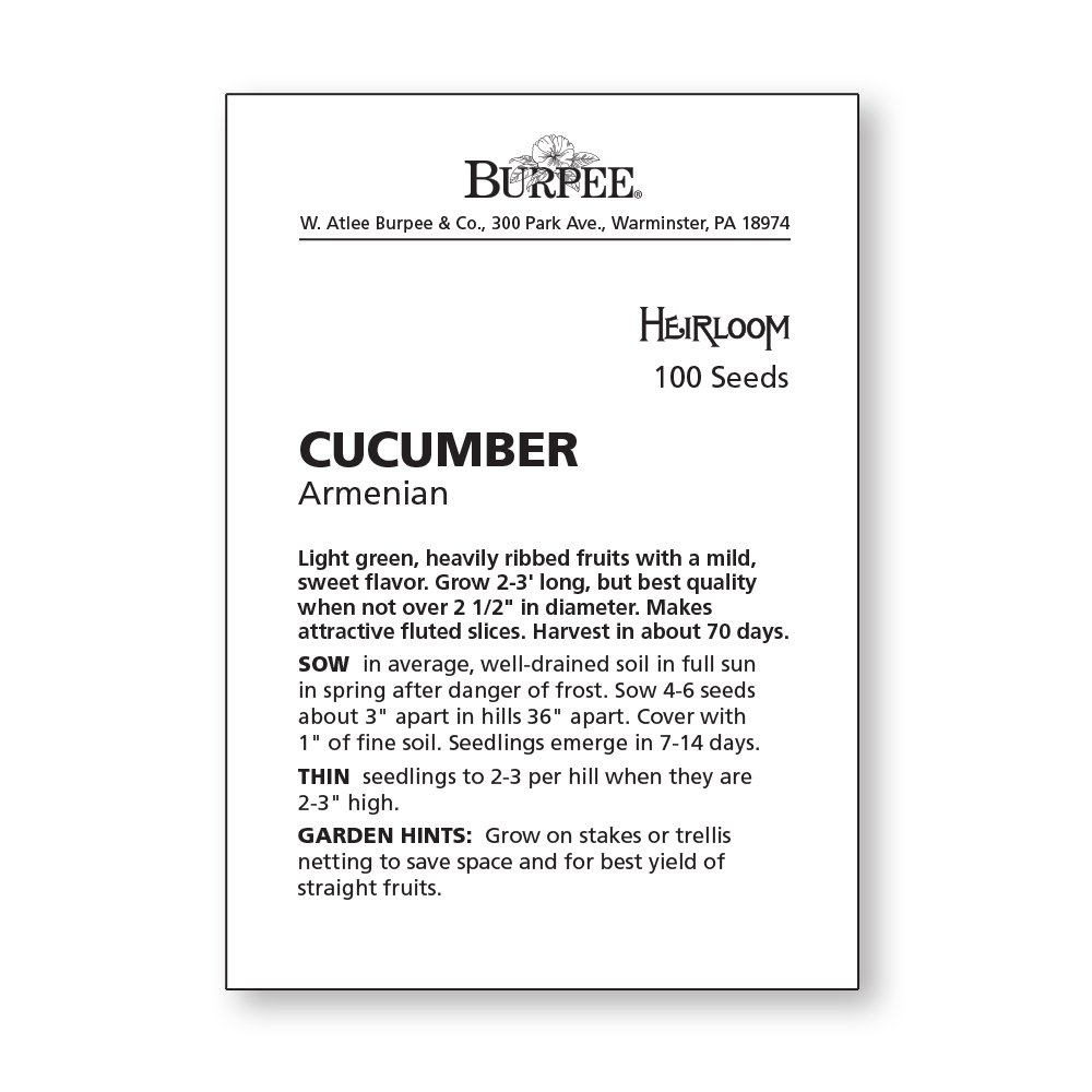 Burpee 'Armenian' Cucumber Seeds, 100 Non-GMO seeds, Heirloom