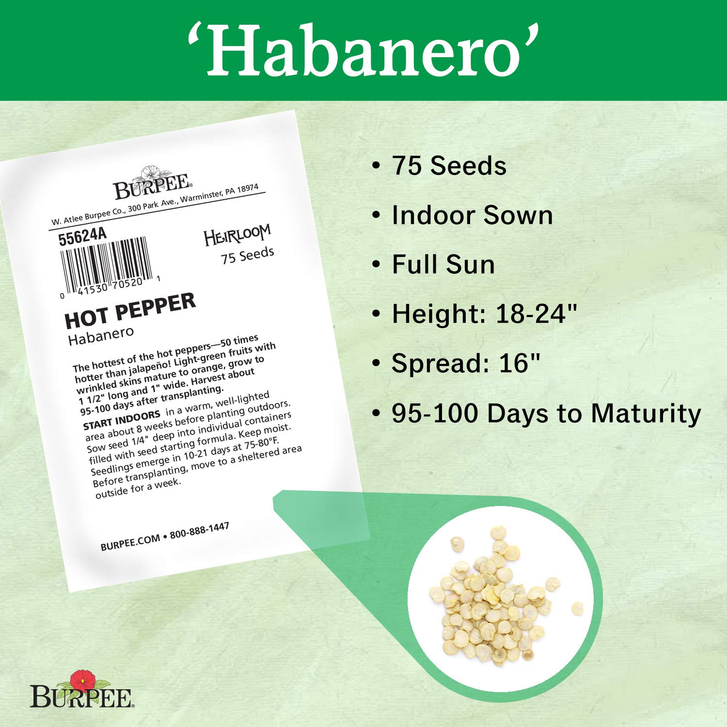 Burpee Habanero Hot Pepper Seeds 75 seeds