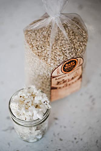 Amish Country Popcorn | 6 lb Bag | Popcorn Kernels | Small and Tender | Old Fashioned, Non-GMO and Gluten Free (6 Pound (Pack of 1), Baby White)