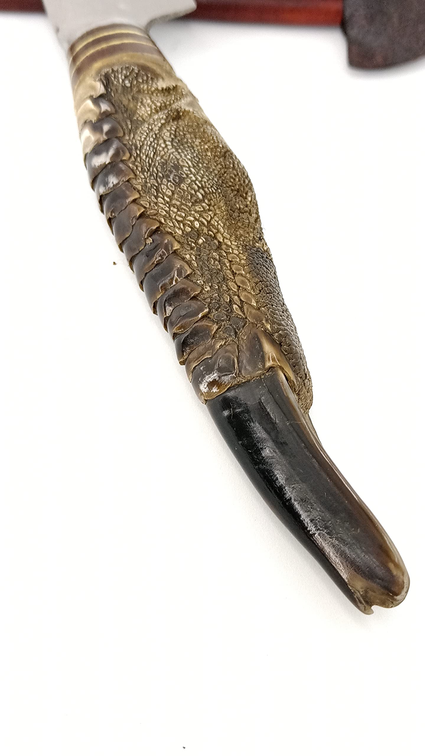 High durability handcrafted gaucho knife with ñandu nail handle, 420 MoV stainless steel made in Tandil Argentina