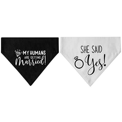 Engagement Gift, My Humans are Getting Married Dog Bandana Collar, Strong D-Ring for Easy Leash Attached Engagement Dog Bandana, Adjustable Dog Collar with Quick Release Buckle for Dogs Cats