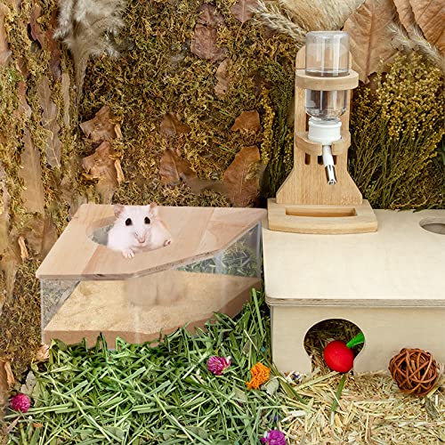 Chngeary Hamster Sand Bath Box Large, Transparent Acrylic Sand Bath Container & Hamster Bathroom, House and Accessories for Hamsters Gerbils Lemming…(Sector)