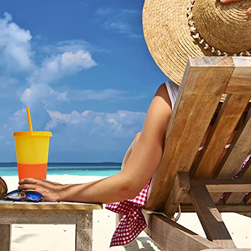 Color Changing Cups Set Cooler 24oz Reusable Plastic Cold Drink Cups with Lids and Straws for Adults Straws In Bright Colors, 5 Iced Coffee Cup, Smoothie Cups with Lids and Straws, Tumbler with Straw
