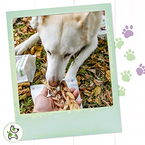 Nature Gnaws Braided Bully Sticks for Dogs - Premium Natural Beef Bones - Long Lasting Dog Chew Treats for Small and Medium Breeds - Rawhide Free - 6 Inch (3 Count)