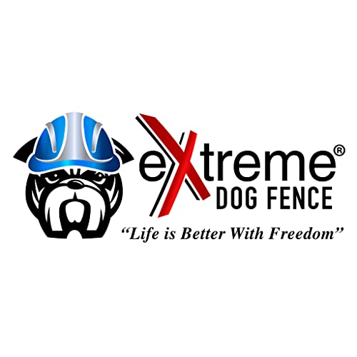 Heavy Duty Nylon Replacement Collar Strap - Compatible with Nearly All Brands and Models of Underground Electric Dog Fences and Training Collars Blue