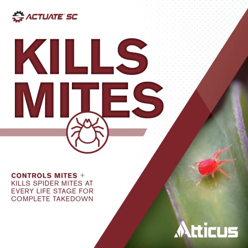 Actuate SC Bifenazate Miticide (8 oz) by Atticus (Compare to Floramite) β Long Lasting Mite Control in Interior and Exterior Landscapes