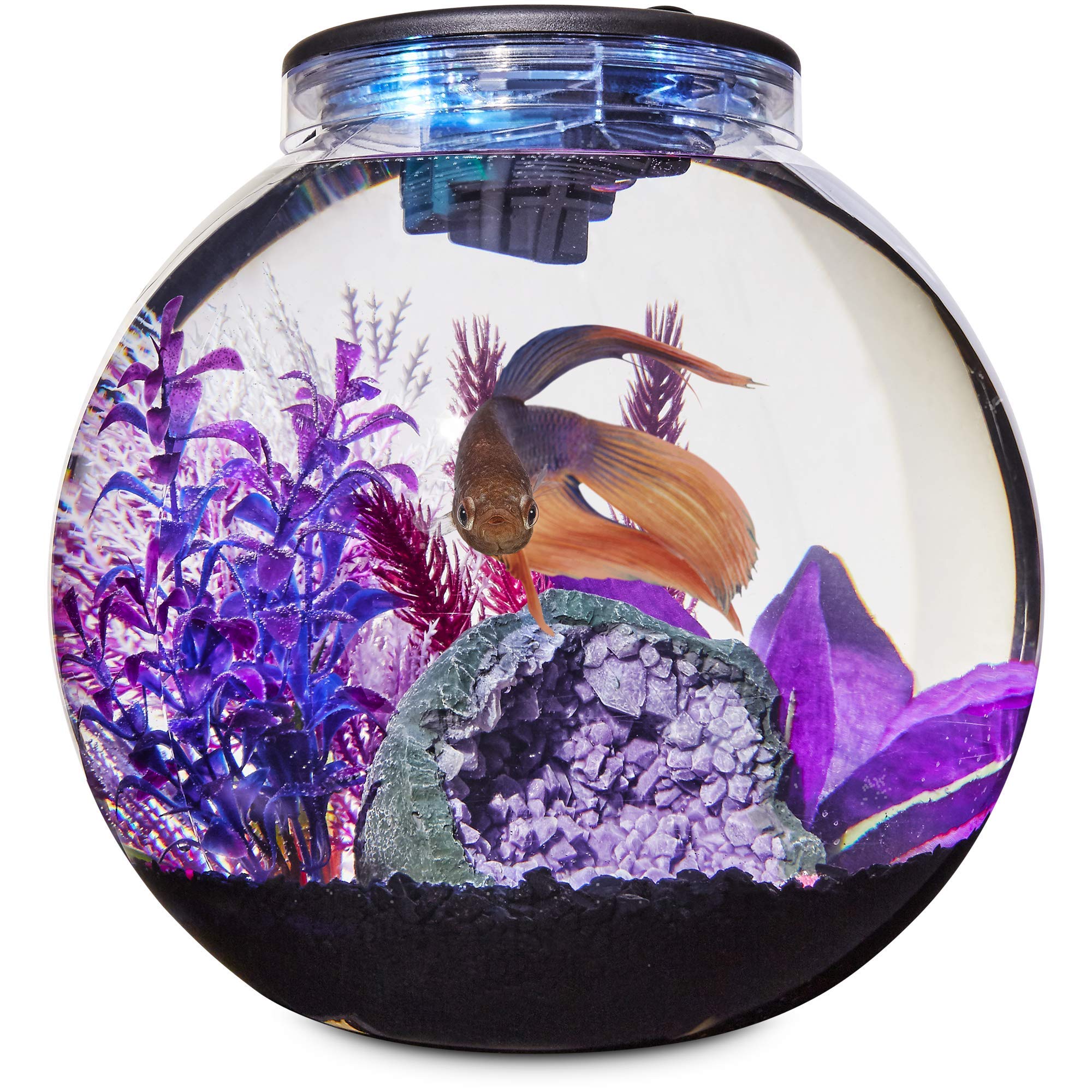 Imagitarium Freshwater Globe Kit, 3.1 GAL