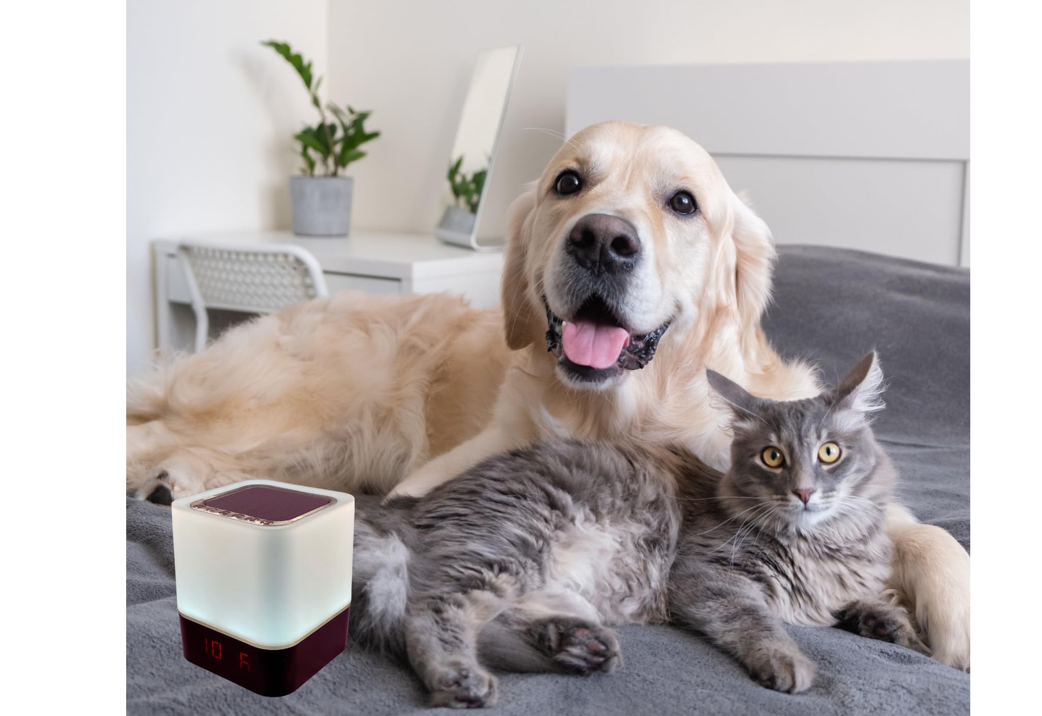 PET Tunes PRO- A Multisensory Calming Music Speaker for Dogs ad Cats- Veterinary, Kennel and Home