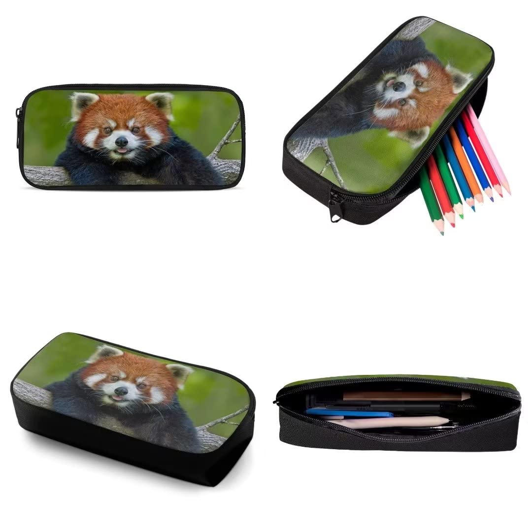 AmzPrint Carry On Lightweight 3 In 1 Cute Red Panda Backpack With Lunch Box For Elementary Middle School Kids Boys Girl