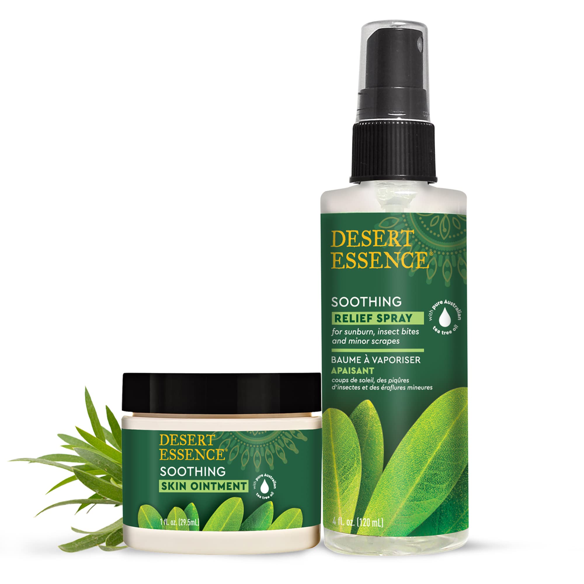 Desert Essence TEA TREE OIL SKIN OINTMENT β Itch Relief, Rash Cream for Razor Burn - Soothing Balm with Lavender & Jojoba - Gluten & Cruelty-Free - 1 oz