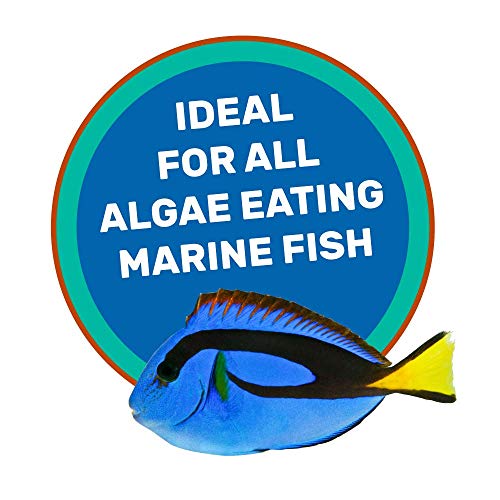 Hikari 042221 Marine Herbivore Medium Sinking Pellets Marine Fish Food, One Size
