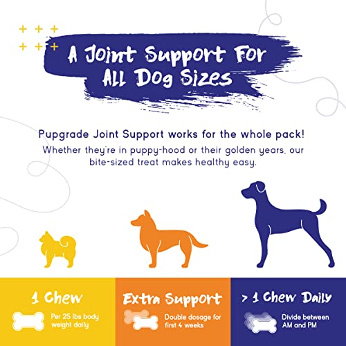 PupGrade Joint Support Supplement for Dogs - Natural Glucosamine Chondroitin & MSM Soft Chews for Hip and Joint Pain Relief - Recommended for Hip Dysplasia, Arthritis & Joint Disease - Made in USA