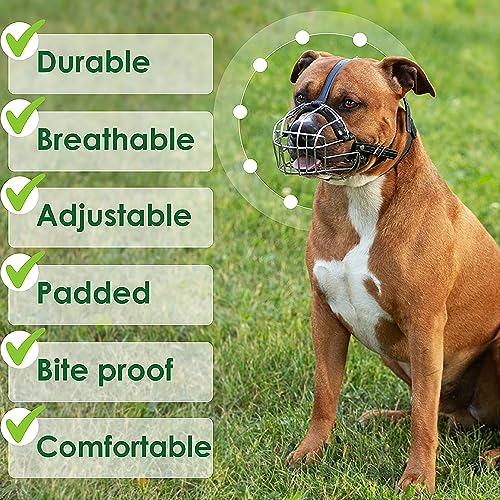 BRONZEDOG Pitbull Dog Muzzle Metal Mask Amstaff Wire Basket Pit Bull Adjustable Leather Straps for Large Dogs (Steel)