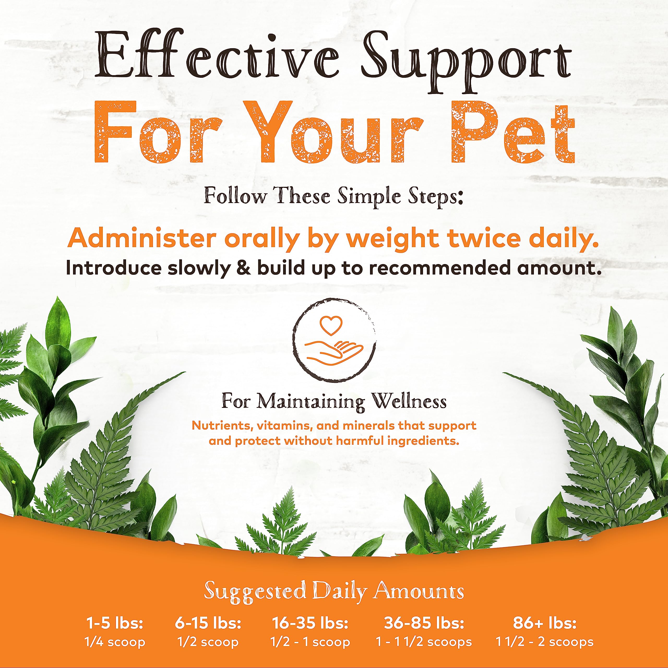 Earth Animal Stop Eating Stool Nutritional Supplement for Dogs & Cats | 8 oz