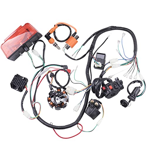 Complete Electrics Wiring Harness Stator Coil CDI Solenoid Relay Spark Plug Tail Light for 4 Wheelers Stroke ATV (150cc 200cc 250cc 300cc) Pit Dirt Bike Go Kart Zongshen Lifan by OTOHANS AUTOMOTIVE