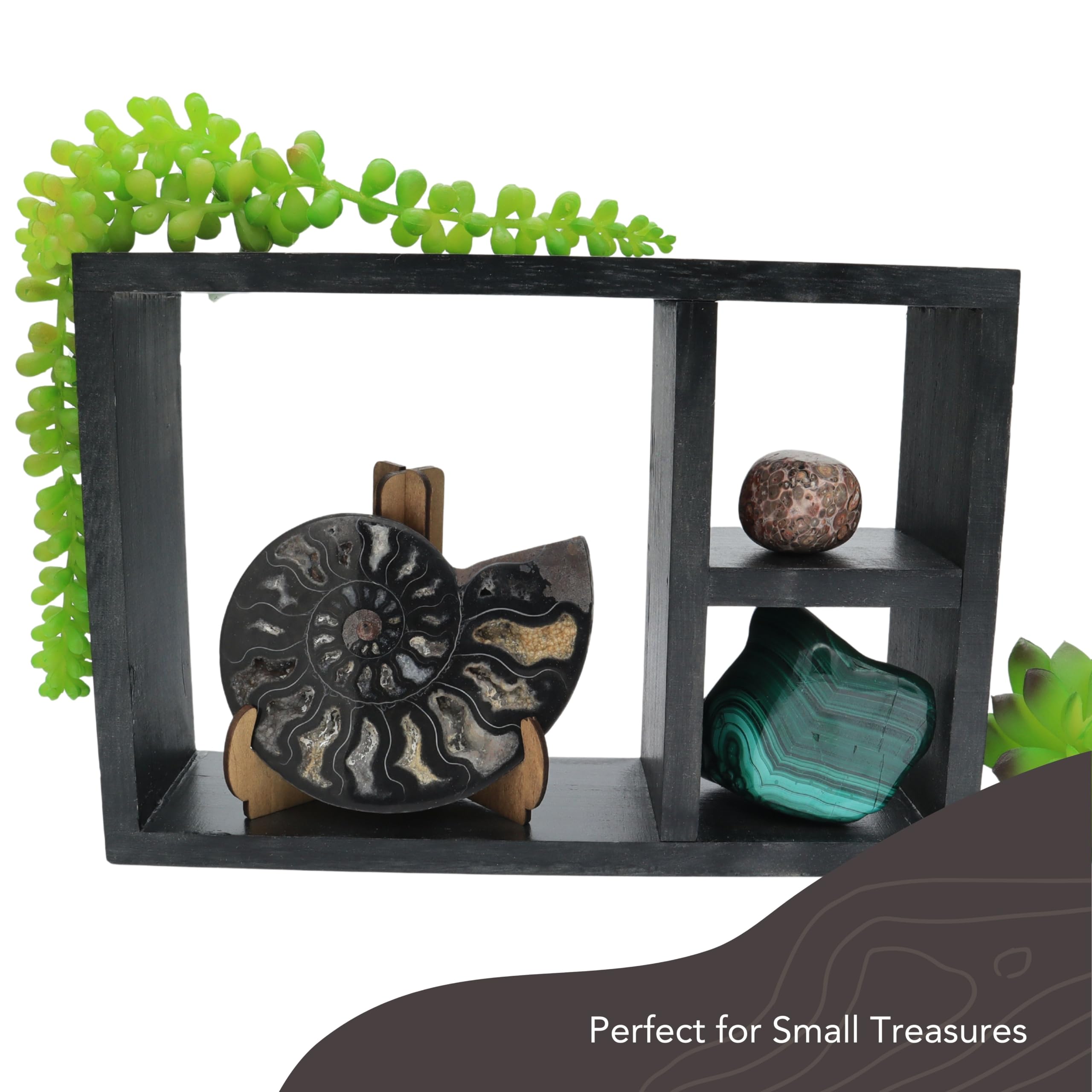 Petite Crystal Display Shelf with Black Ammonite, Rustic Wall-Mounted Floating Shelf for Crystal and Home Décor. Great Nightstand/Apothecary Shelf for Fossils, Reiki Crystals
