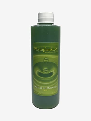 Live Marine Phytoplankton - 8oz Bottle