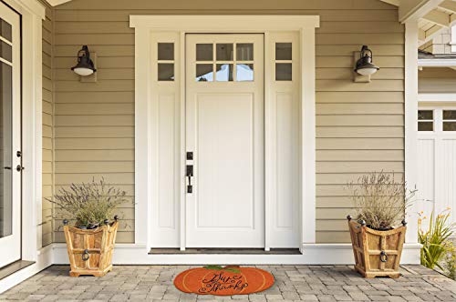 DII Natural Coir Outdoor Doormat, Fall & Thanksgiving Seasonal Mat, 17x29", Give Thanks Pumpkin