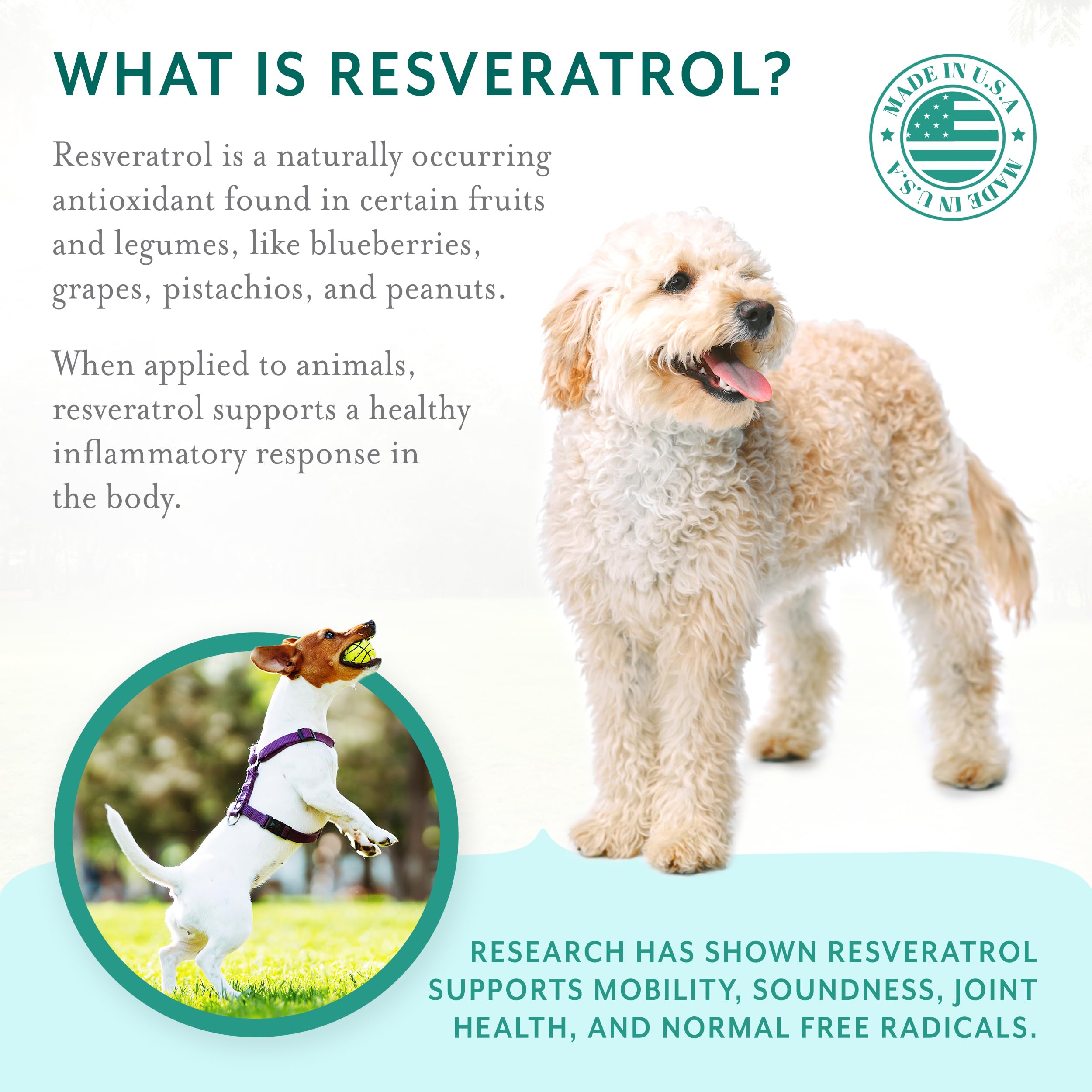 PetThrive Dog Hip and Joint Support Supplement Soft Chews with Resveratrol, Glucosamine, Chondroitin, Hyaluronic Acid, Bacon Flavor, Small Breed