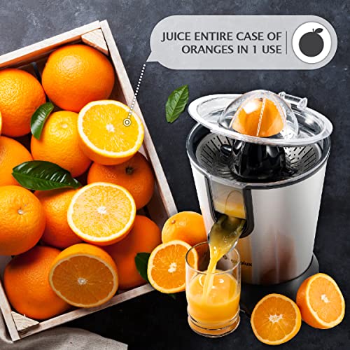 Eurolux Electric Citrus Juicer Squeezer, for Orange, Lemon, Grapefruit, With 160 Watts of Power, Brushed Stainless Steel