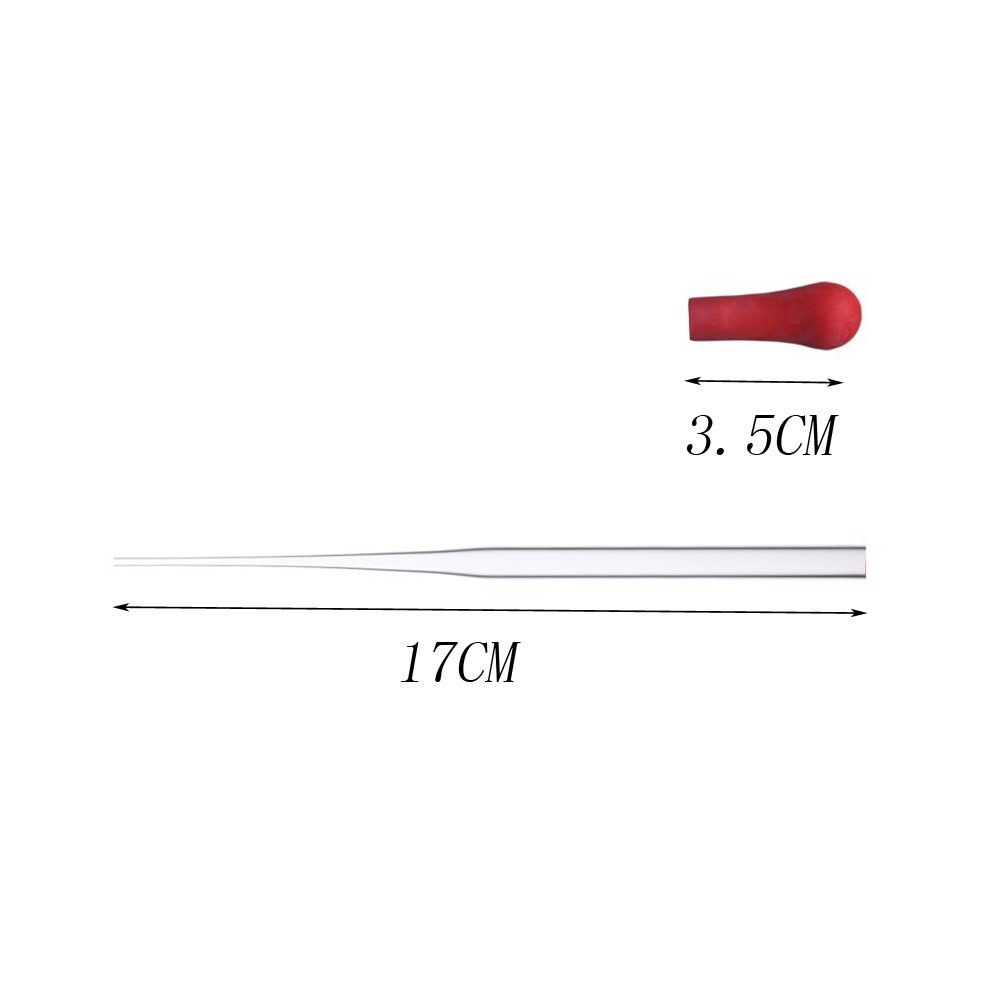 Glass Pipette Dropper with Red Rubber Cap Dropping Pipet Liquid Essential Oil Transfer 10 Pcs
