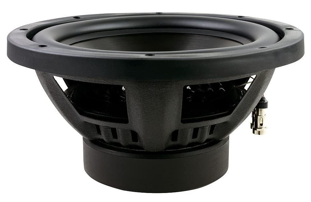 BLAUPUNKT 10" Single Voice Coil Subwoofer with 600W Power (GBW101) 1-PC Only, Black