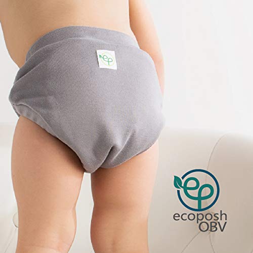 Kanga Care Ecoposh OBV Reusable Pull Up Toddler Underwear Potty Training Pants | Boysenberry Medium 2T/3T