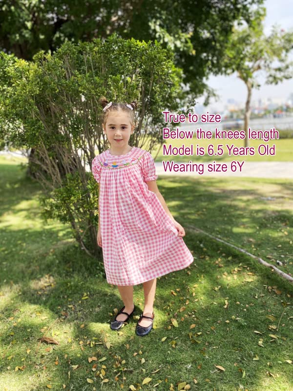 Baby Infant Girl Easter Bunny Parade Egg Hunting Hand Smocked Bishop Dress Pink Gingham 12 Months
