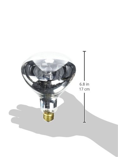 Westinghouse 0391500, 375 Watt, 120 Volt Clear Incandescent R40 Light Bulb - 5000 Hours