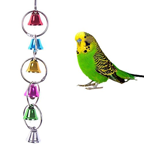 Hypeety Bird Parrot Conure Cockatoo Macaw African Grey Amazon Budgie Parakeet Cockatiel Lovebird Finch Cage for Bird Bells Toy