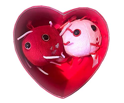 GIANTmicrobes COVID with Love Heart Box - Spread the Love with Adorable Heart Box, Includes two Special Edition Pink and Red COVID Plush Keychains