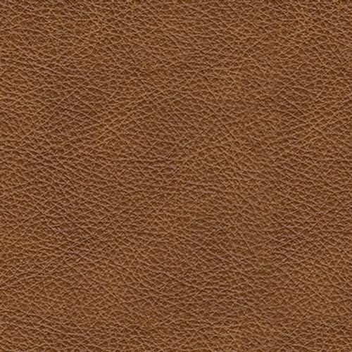 Signature Design by Ashley Carianna Classic Leather Match Loveseat with Nailhead Trim, Dark Brown