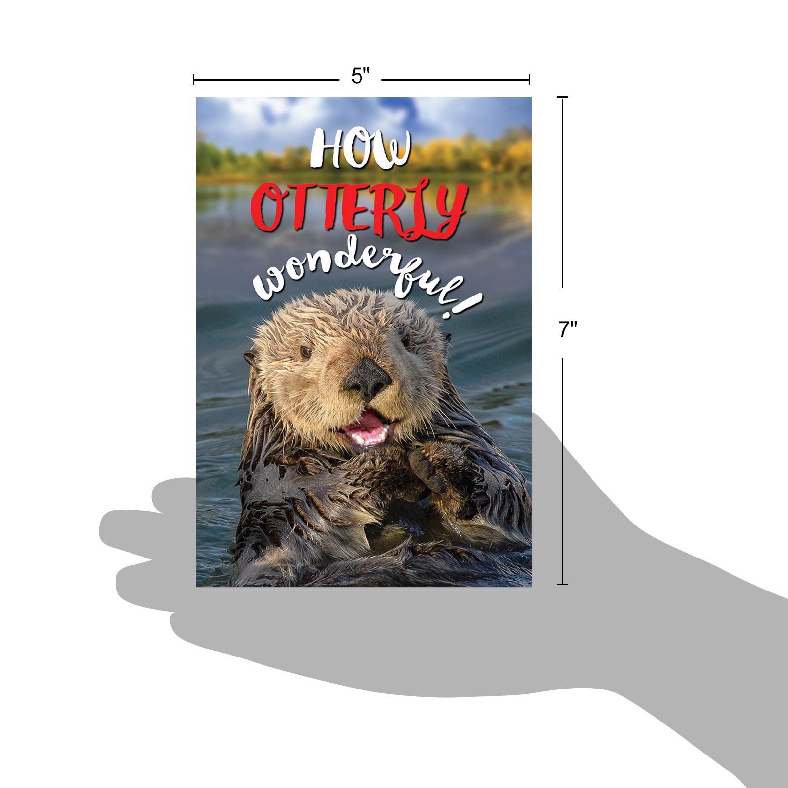 NobleWorks - Fun Congratulations Card with Envelope - Congrats Humor, Encouragement Greeting - Otterly Awesome C6574FCGG