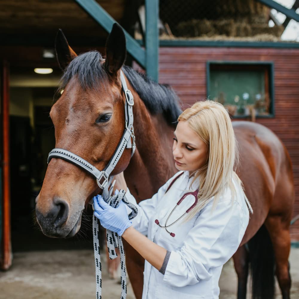 Great for Veterinarians Or Animal Lovers, Burgundy Stethoscope, Horses on Diaphragm