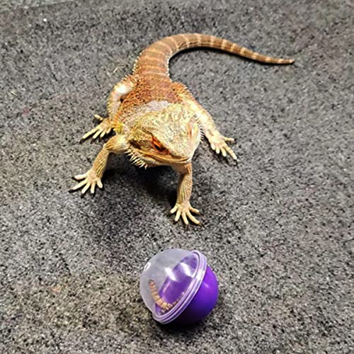 CooShou 6Pcs Lizard Bearded Dragon Feeding Toys Ball Reptile Food Toys Ball Lizard Interactive Toys for Bearded Dragon, Lizard, Gecko and Small Animals